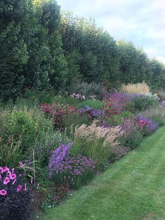 The Land | The No Name Nursery